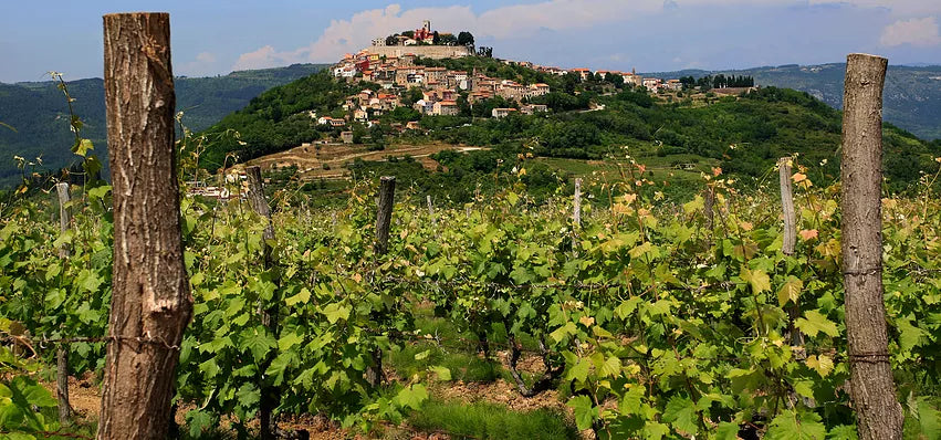 Route 44: A Journey Through Nature, History, and Culinary Delights ...