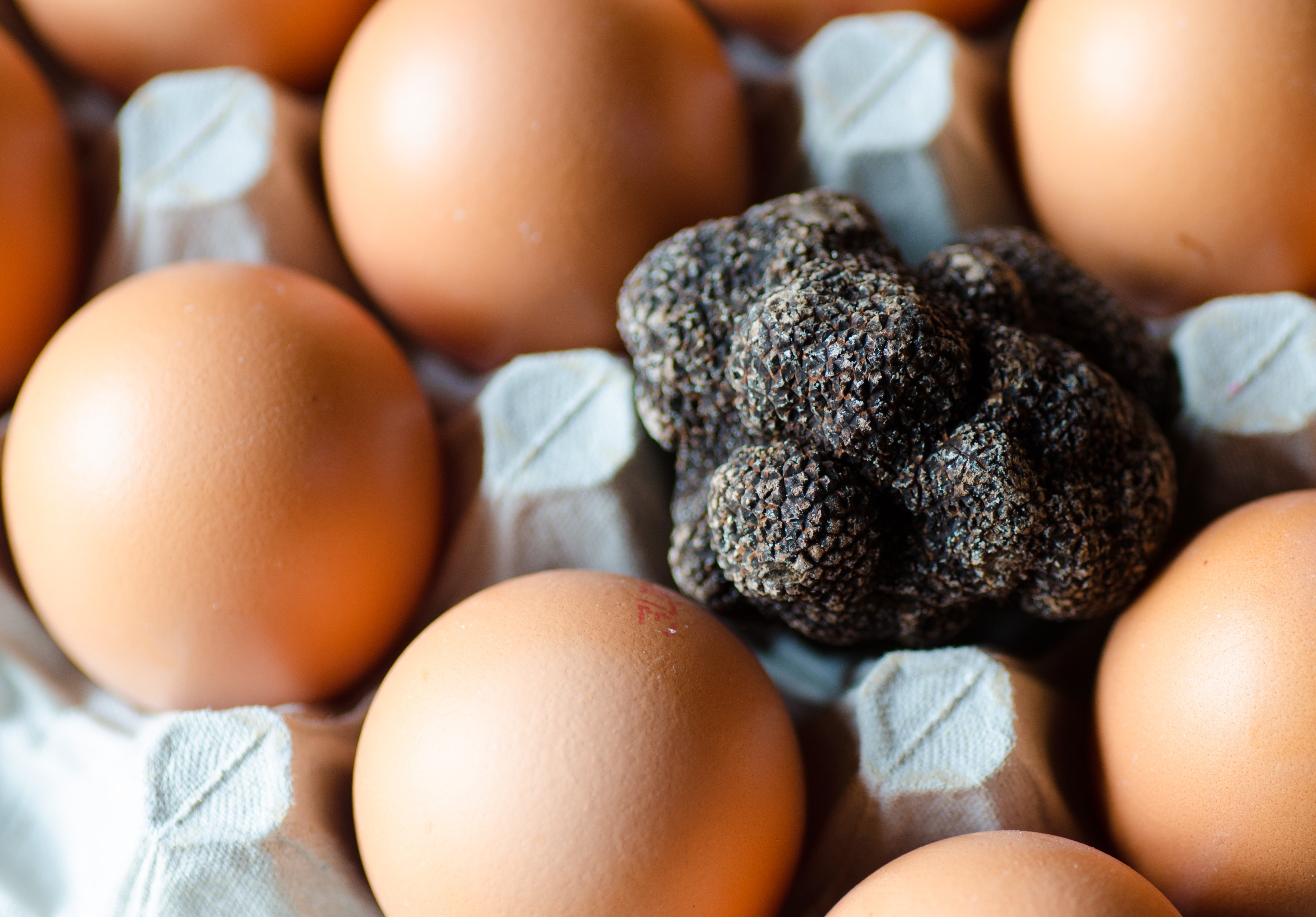ROOT 44 - Fresh Truffles and Truffle Products Toronto